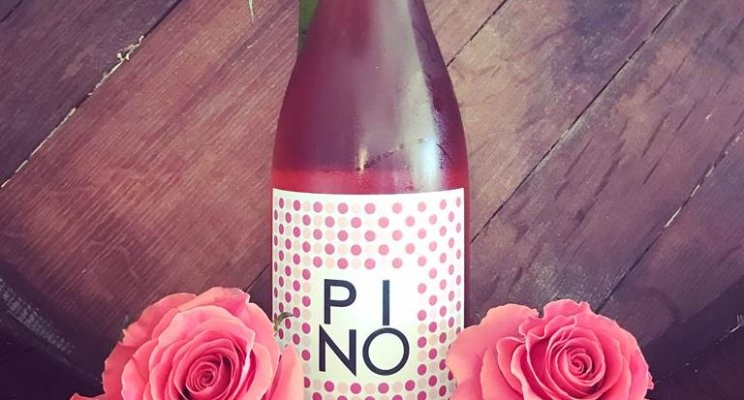 Pino Cellars - Our Wines - Rose of Pinot Noir